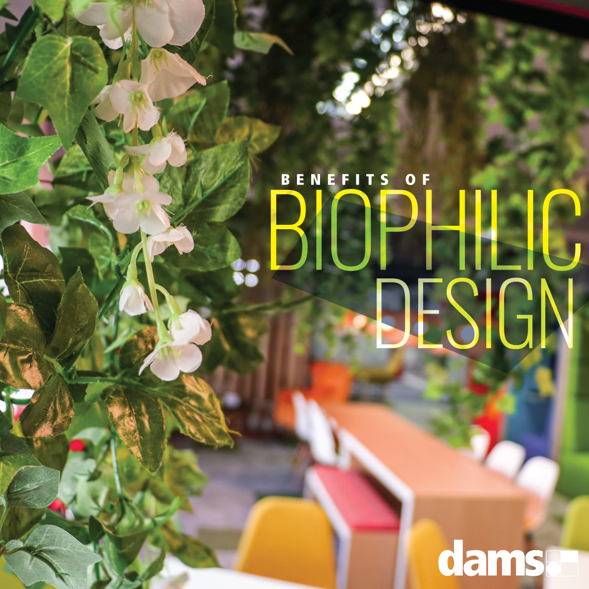 Article Portfolio – Georgia Goddard